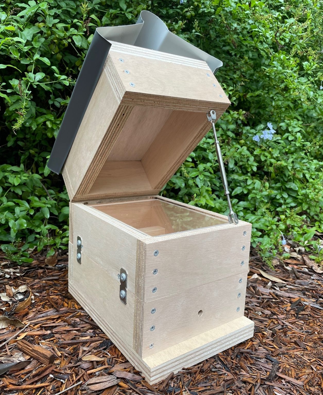 Honey Super Perspex Beehive OATH Box Stingless Australian Native Bee ...
