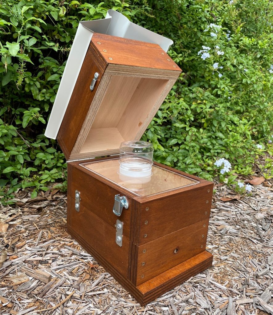 Honey Jar Hinged Lid Beehive OATH Box Stingless Australian Native Bee ...