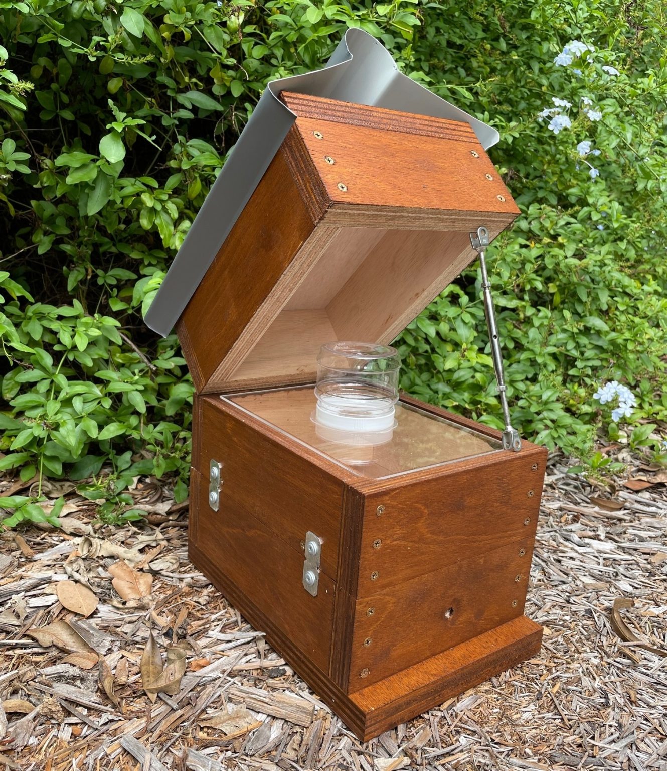 Honey Jar Perspex Beehive OATH Box Stingless Australian Native Bee Hive ...