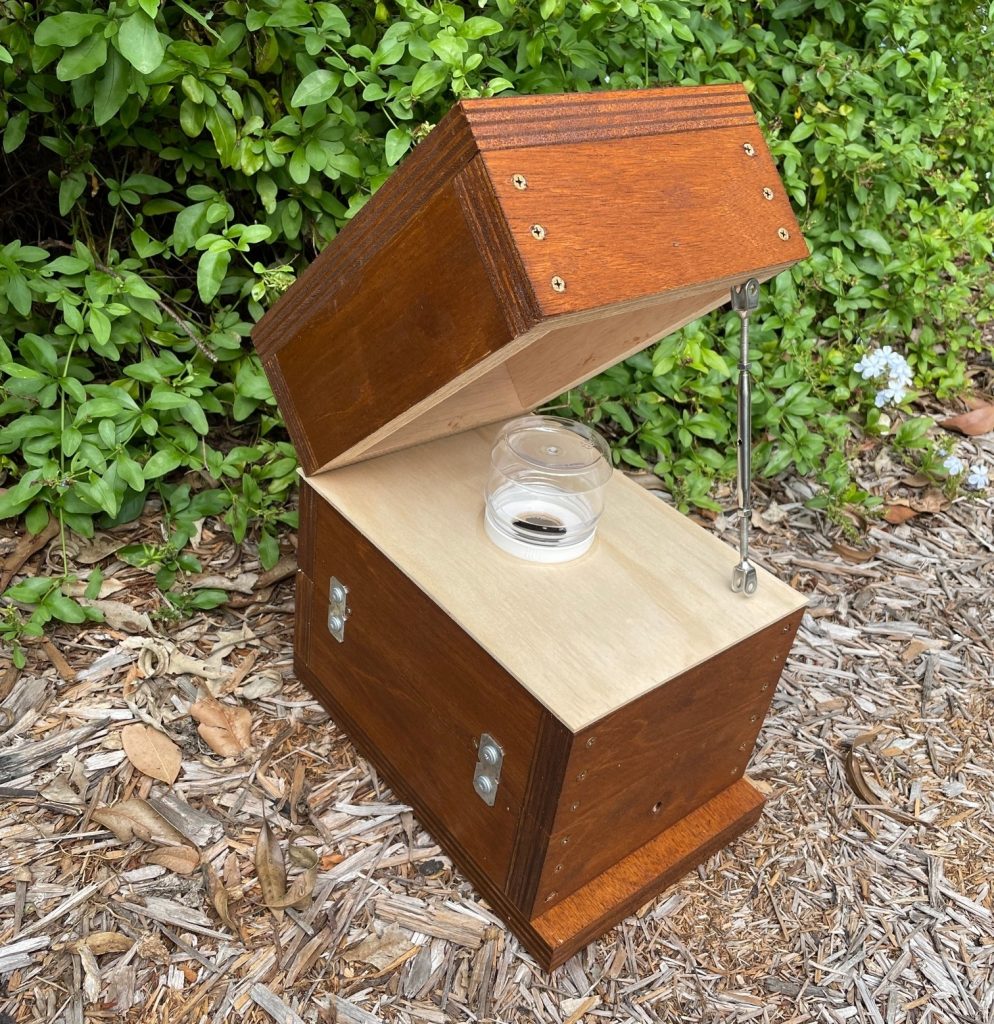 Honey Jar Beehive OATH Box Stingless Australian Native Bee Hive Stained ...