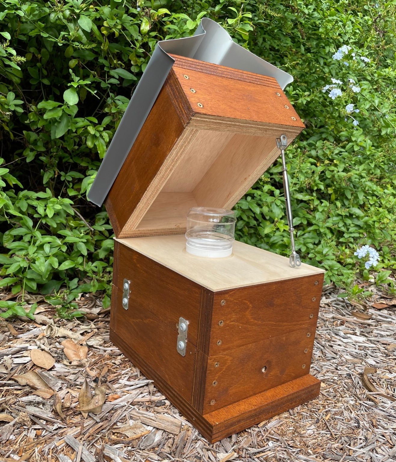 Honey Jar Beehive OATH Box Stingless Australian Native Bee Hive Stained ...