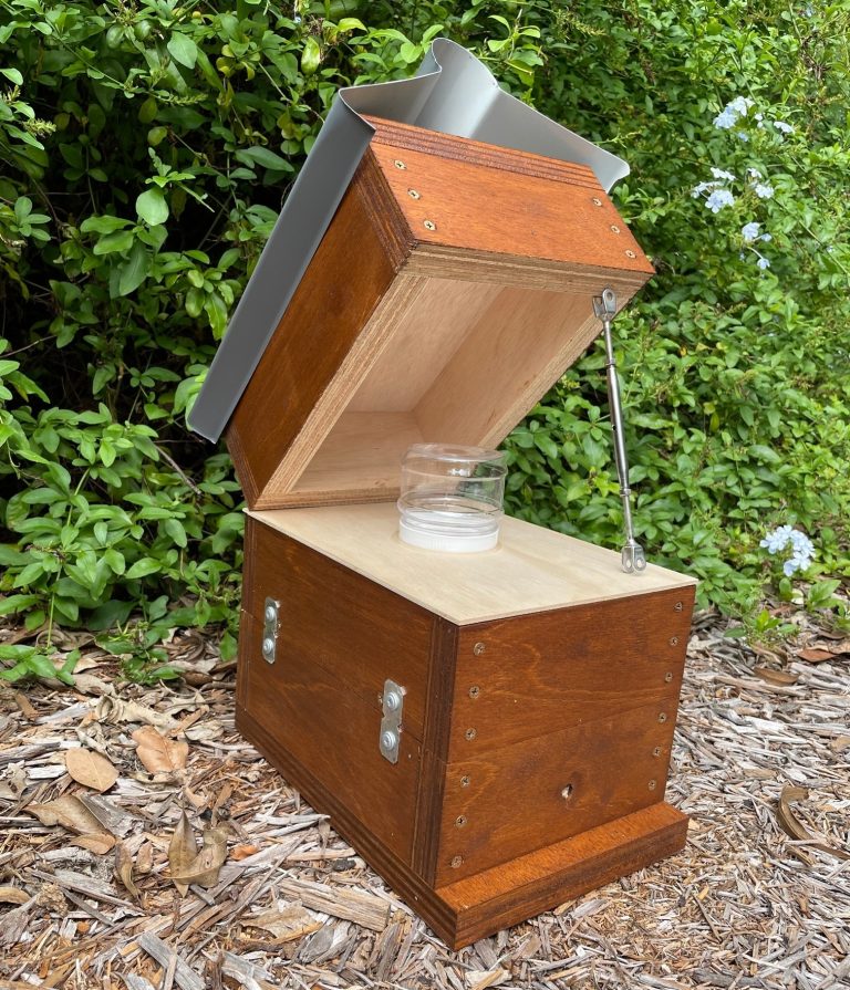 Honey Jar Beehive OATH Box Stingless Australian Native Bee Hive Stained ...