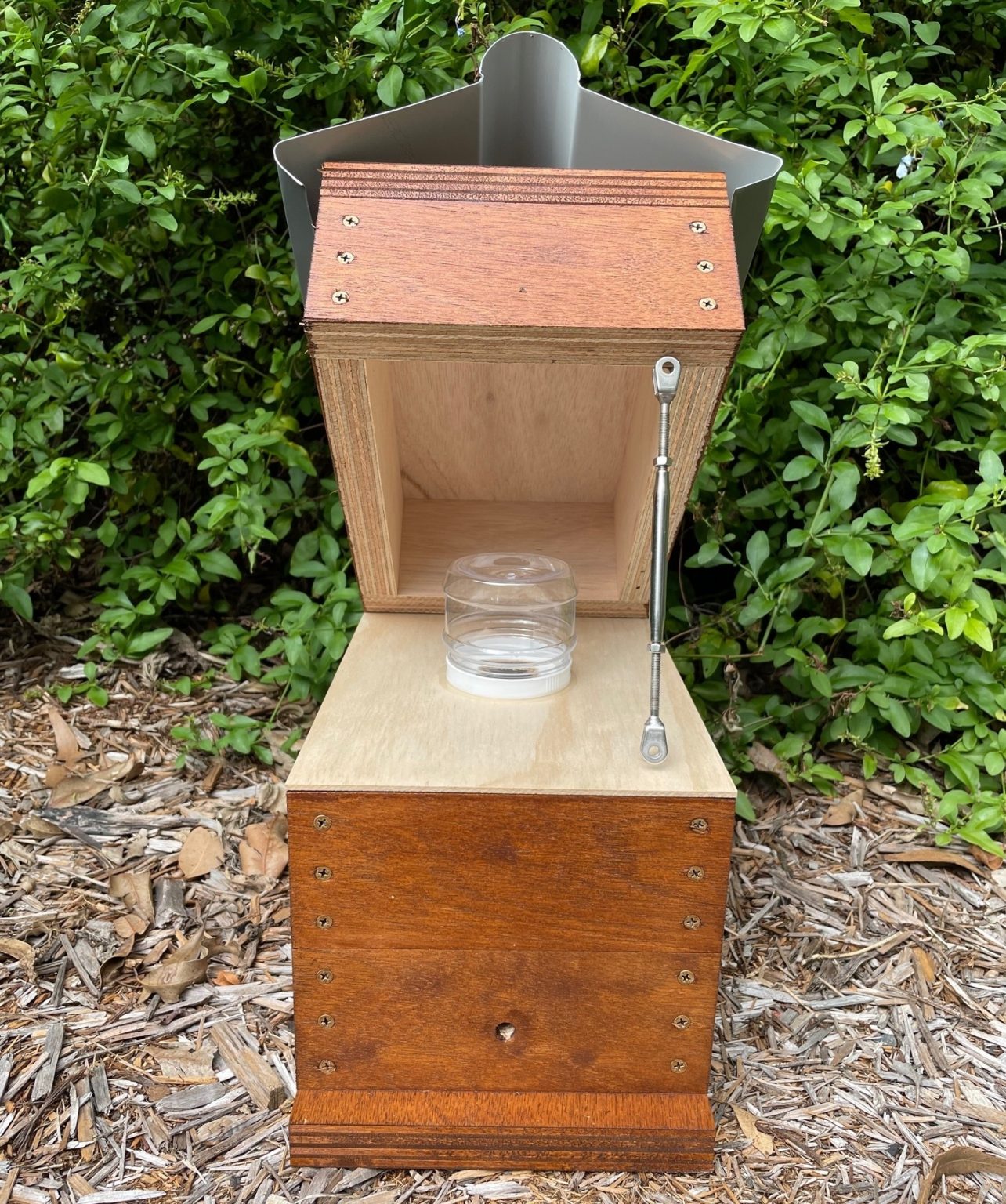 Honey Jar Beehive OATH Box Stingless Australian Native Bee Hive Stained ...