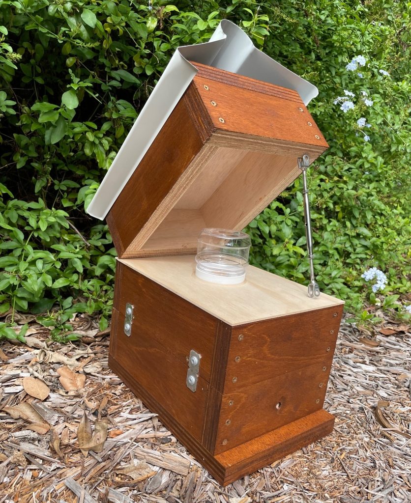 Honey Jar Beehive OATH Box Stingless Australian Native Bee Hive Stained ...