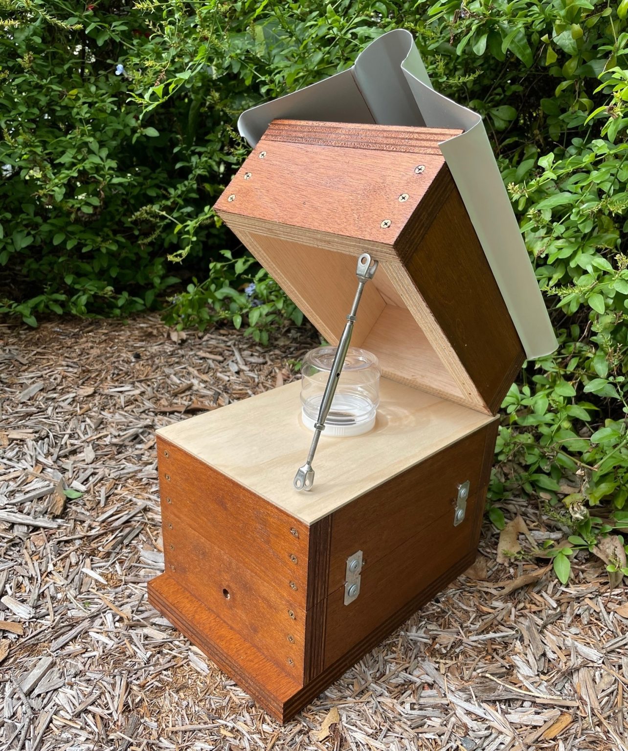 Honey Jar Beehive OATH Box Stingless Australian Native Bee Hive Stained ...