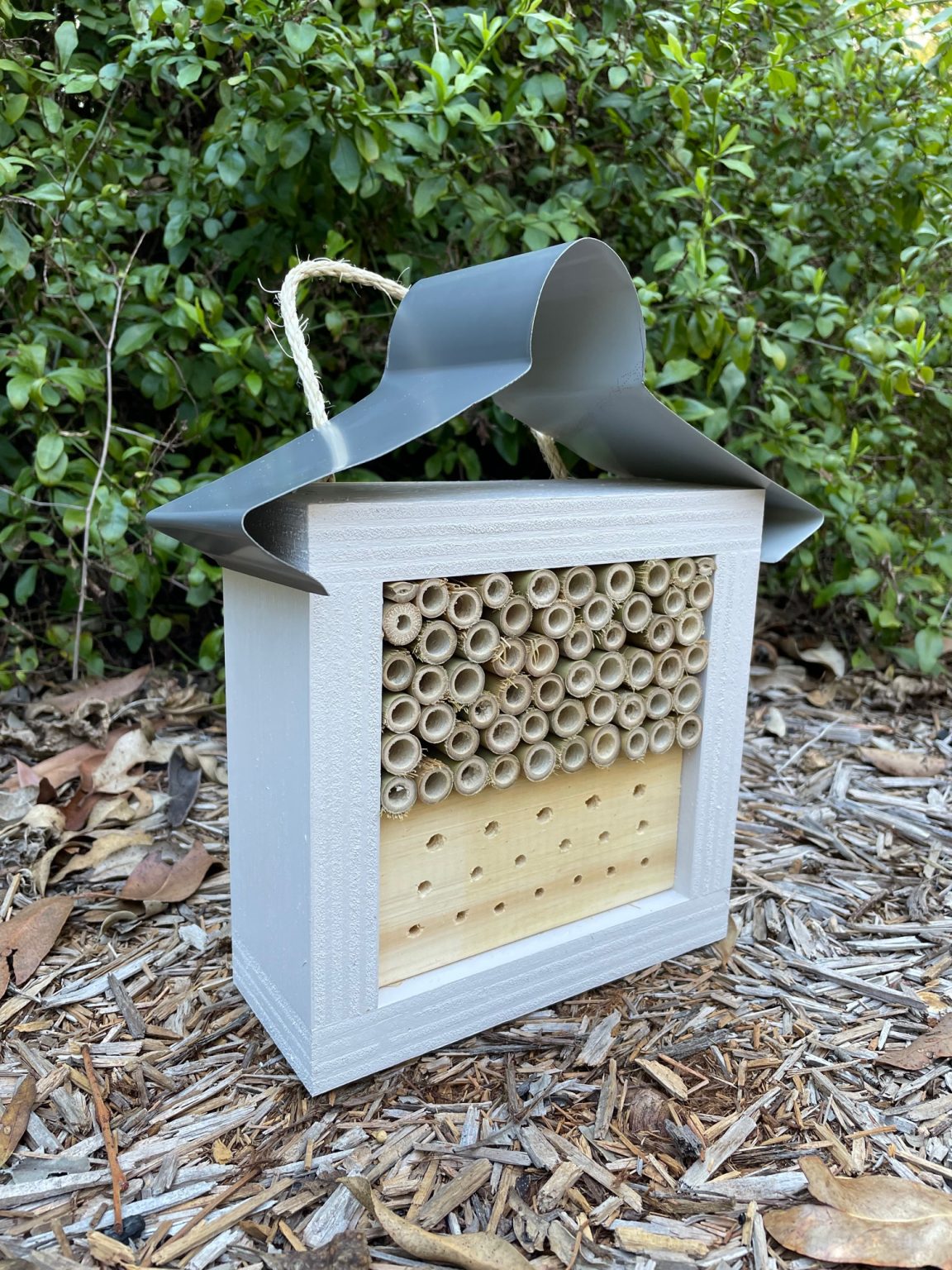 Australian Ladybird and Insect House Painted Solitary Native Bee Hotel ...