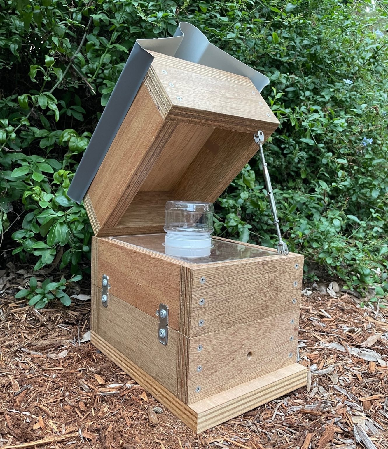 Honey Jar Perspex Beehive OATH Box Stingless Australian Native Bee Hive ...