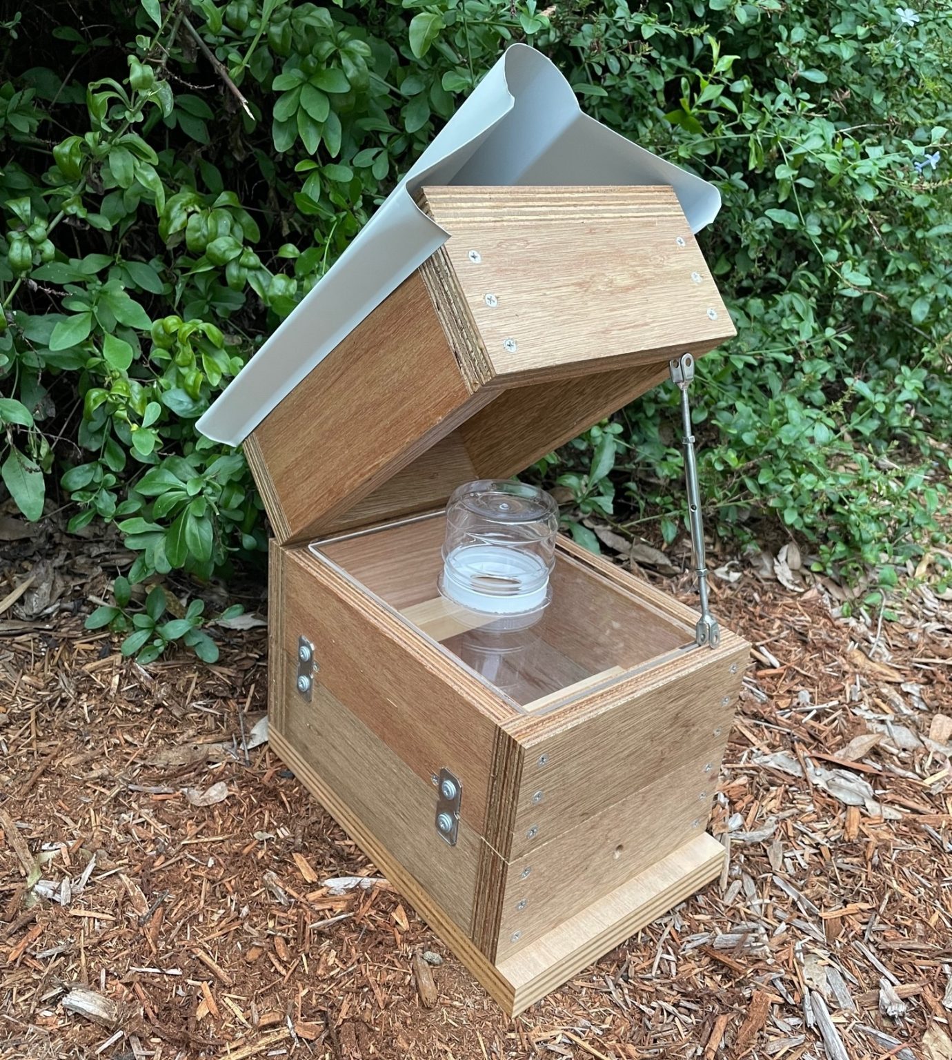 Honey Jar Perspex Beehive OATH Box Stingless Australian Native Bee Hive ...