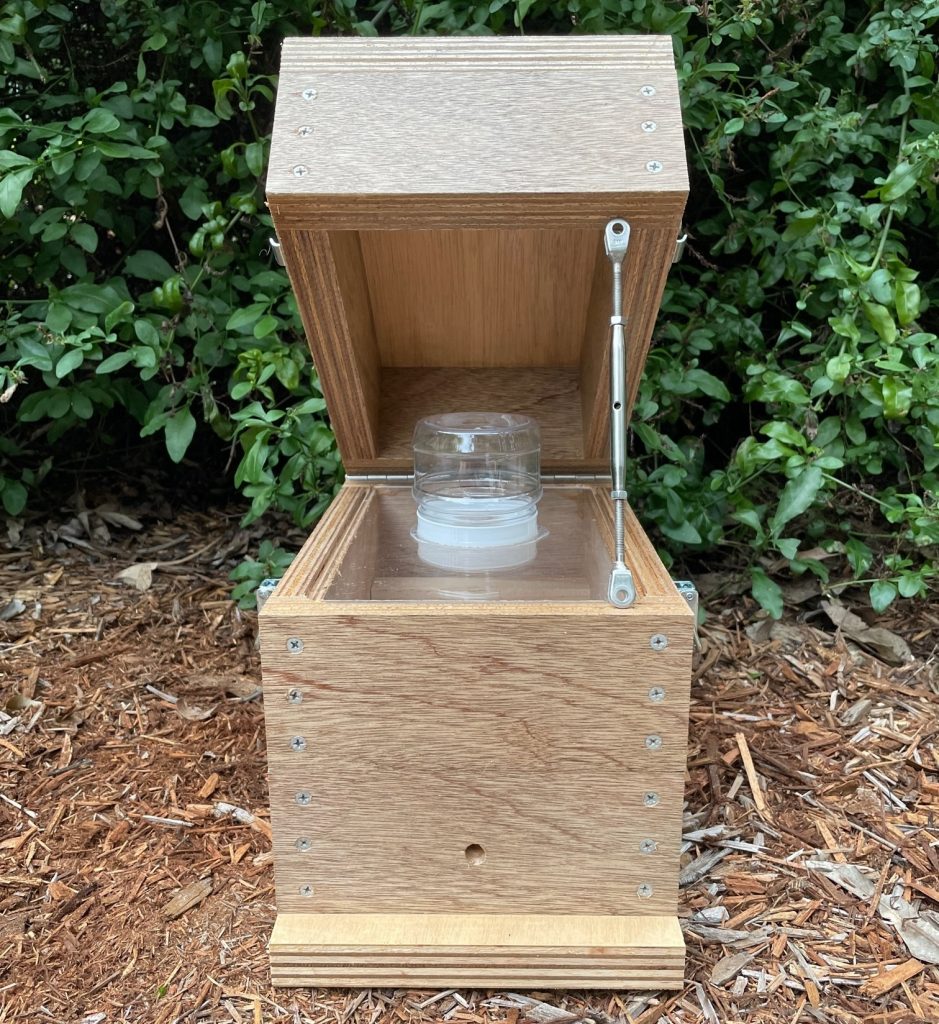 Honey Jar Hinged Lid Beehive OATH Box Stingless Australian Native Bee ...