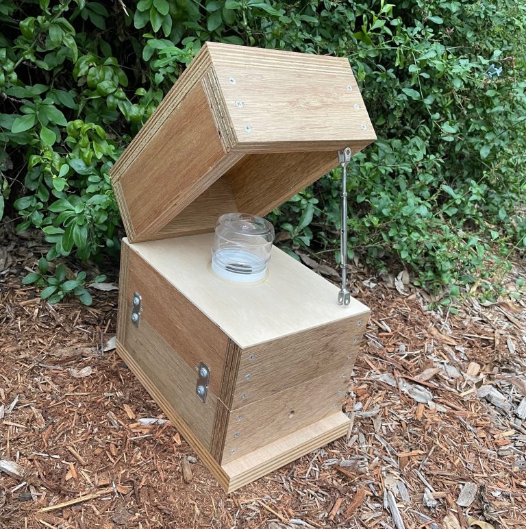Honey Jar Beehive OATH Box Stingless Australian Native Bee Hive Clear ...