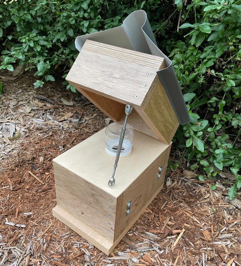 Honey Jar Beehive OATH Box Stingless Australian Native Bee Hive Clear ...