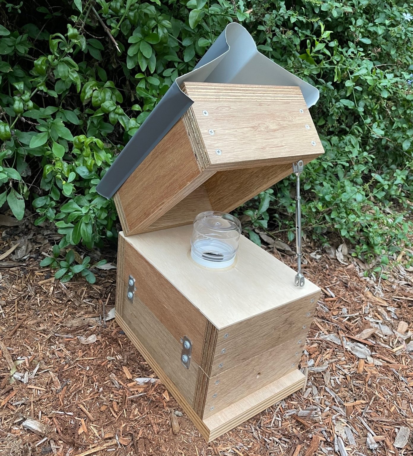 Honey Jar Beehive OATH Box Stingless Australian Native Bee Hive Clear ...