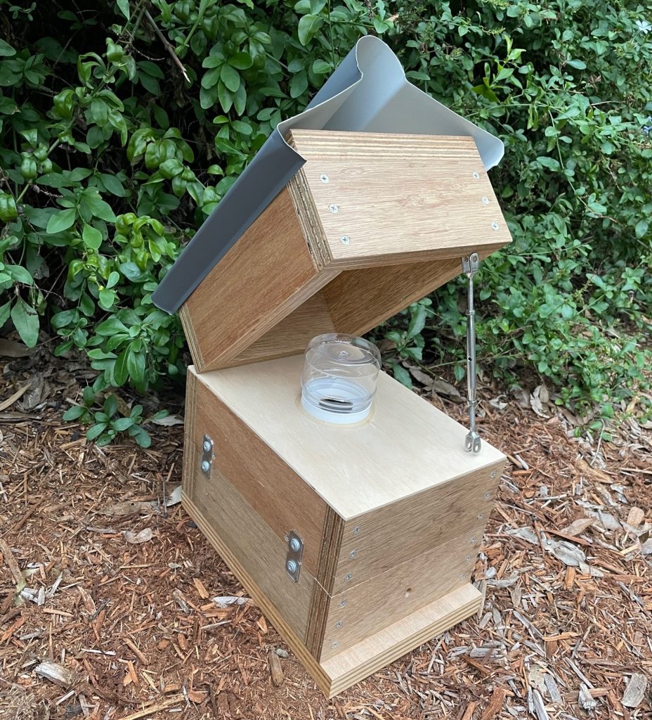 Honey Jar Beehive OATH Box Stingless Australian Native Bee Hive Clear ...