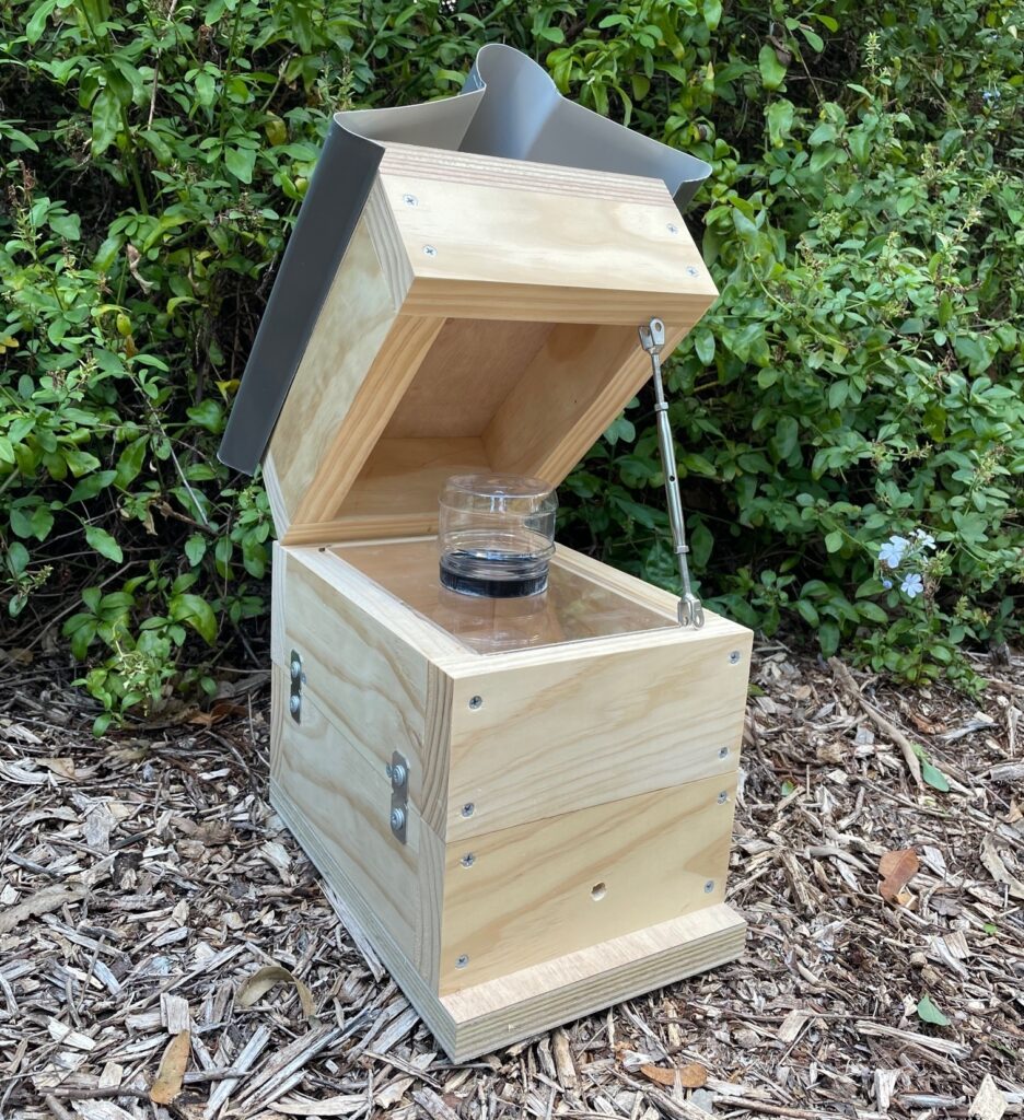 Hoop Pine Honey Jar Perspex Beehive OATH Box Native Bee Hive