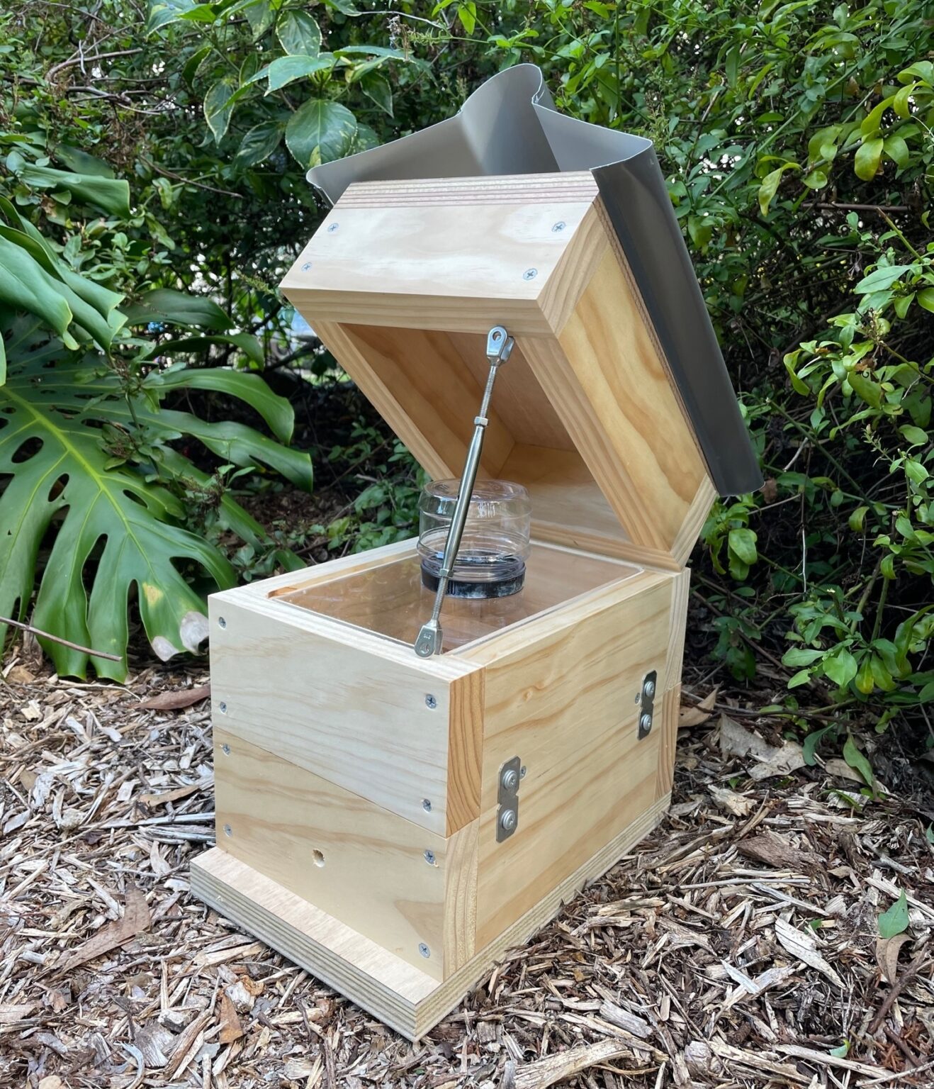Hoop Pine Honey Jar Perspex Beehive OATH Box Native Bee Hive