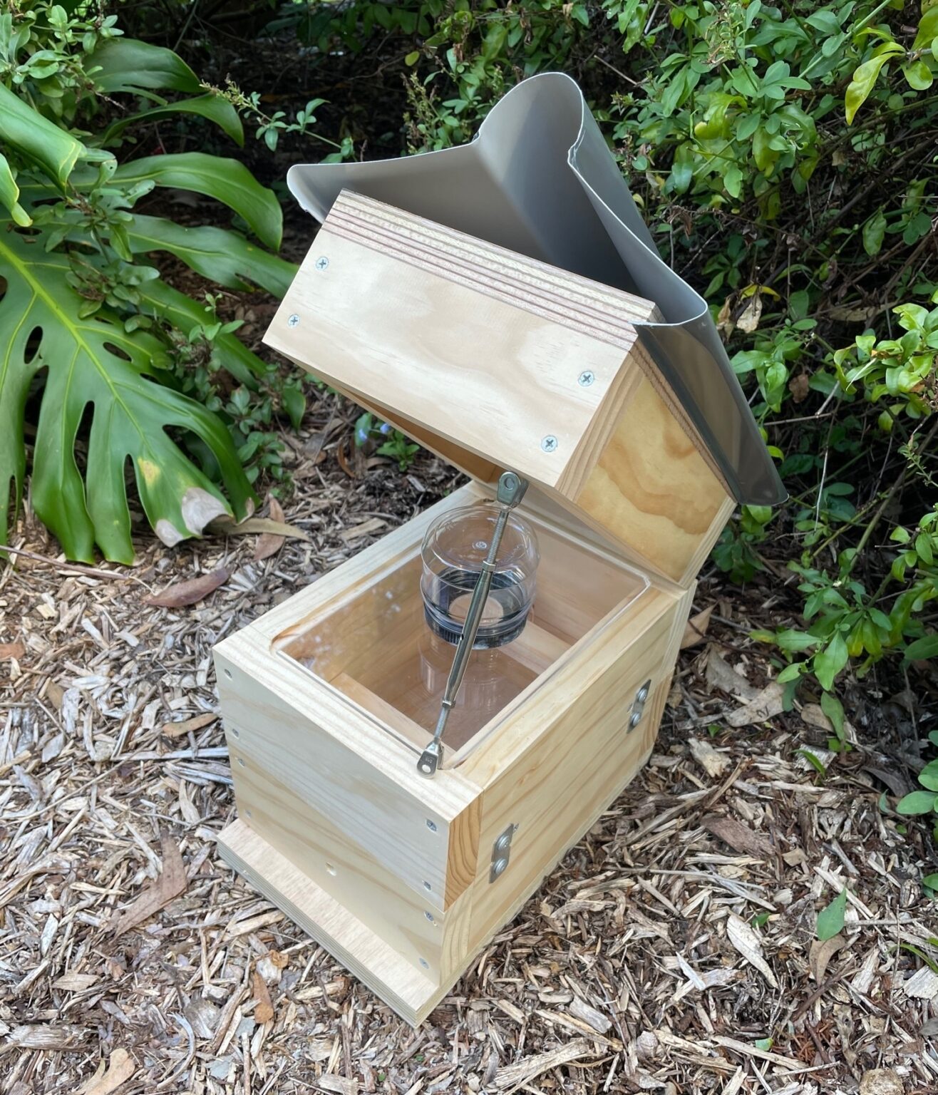 Hoop Pine Honey Jar Perspex Beehive OATH Box Native Bee Hive