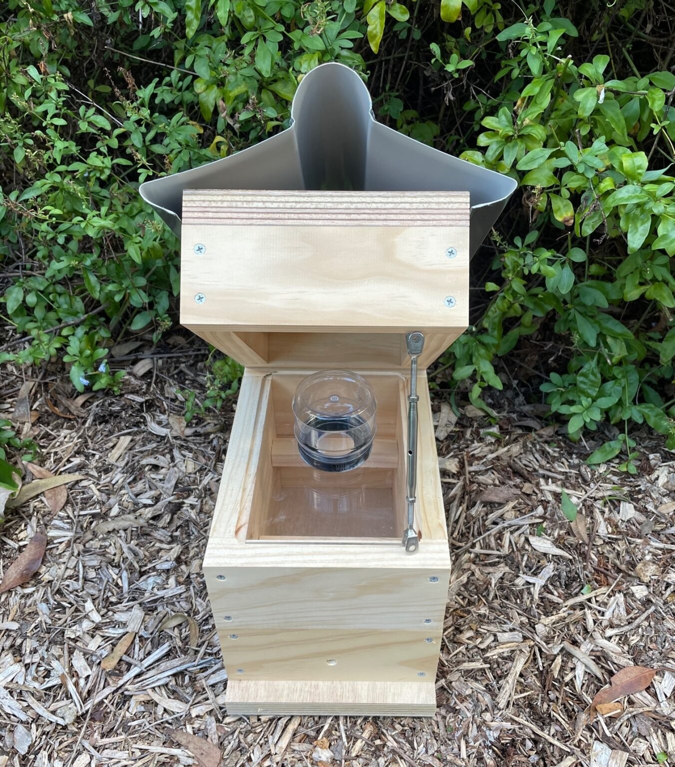 Hoop Pine Honey Jar Perspex Beehive OATH Box Native Bee Hive