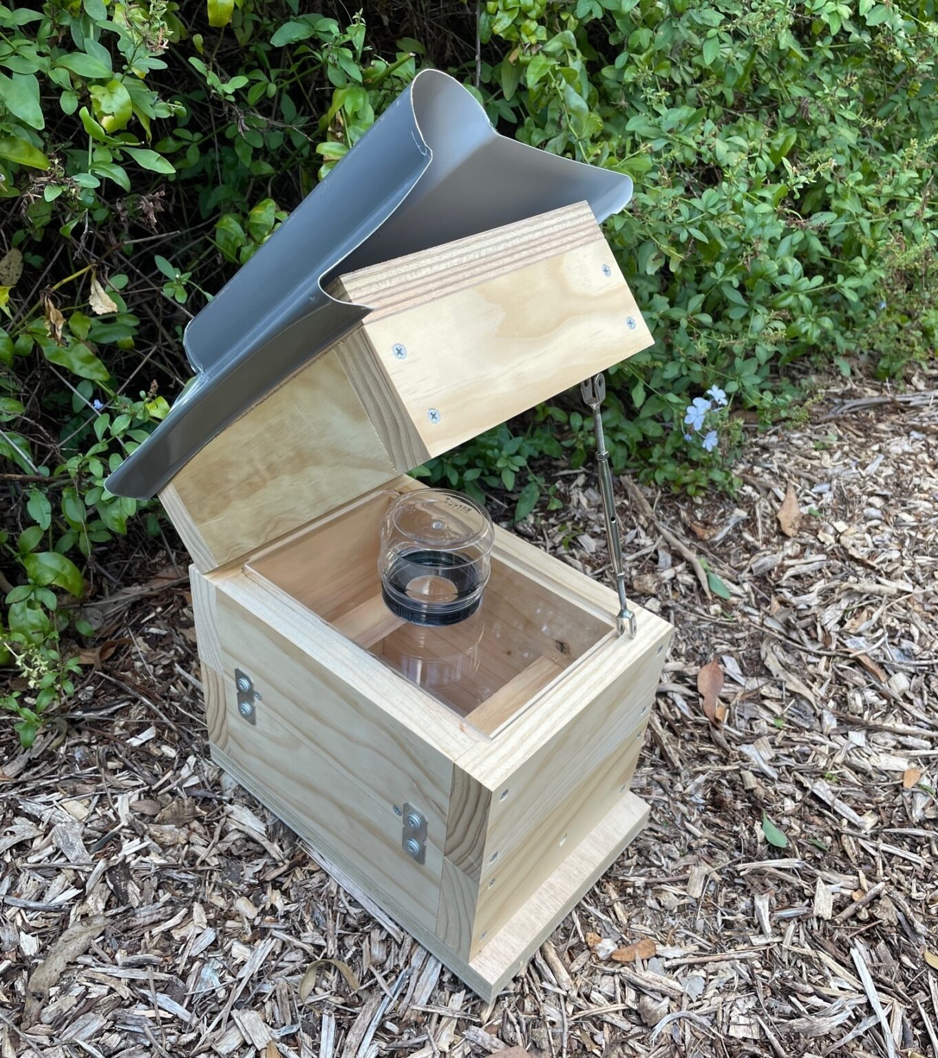 Hoop Pine Honey Jar Perspex Beehive OATH Box Native Bee Hive