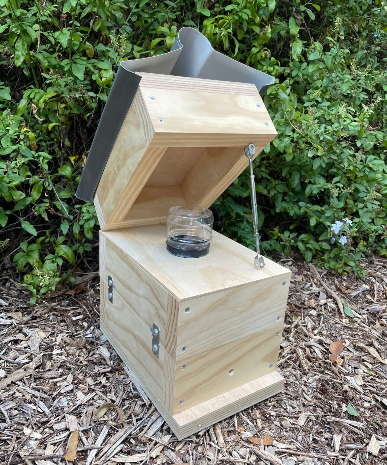 Honey Jar Hoop Pine Native Beehive OATH Box Stingless Australian Bee