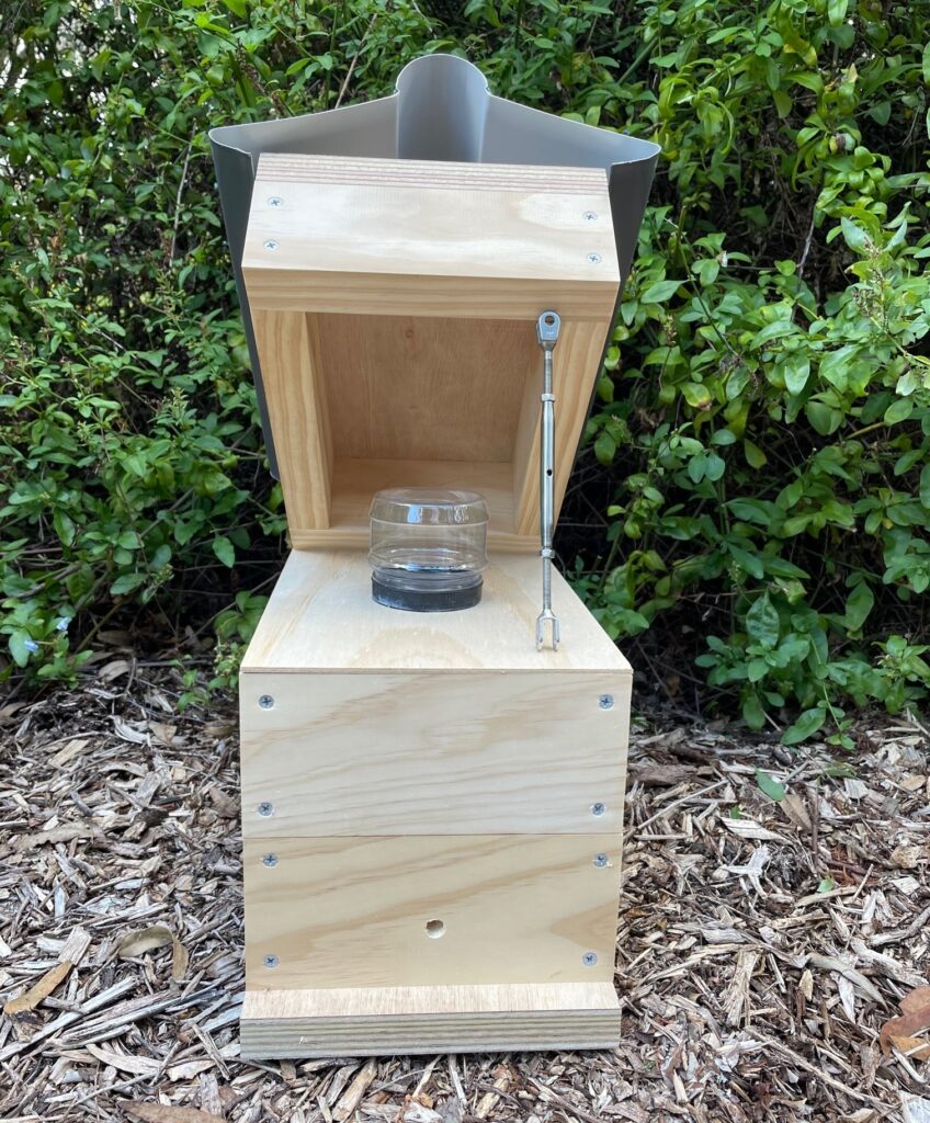Honey Jar Hoop Pine Native Beehive OATH Box Stingless Australian Bee