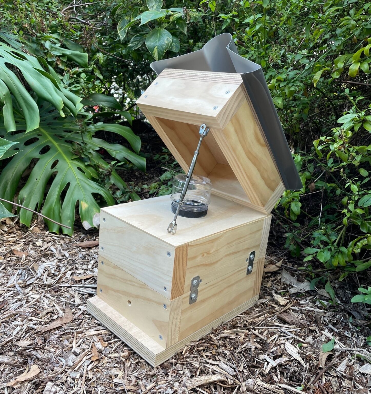 Honey Jar Hoop Pine Native Beehive OATH Box Stingless Australian Bee
