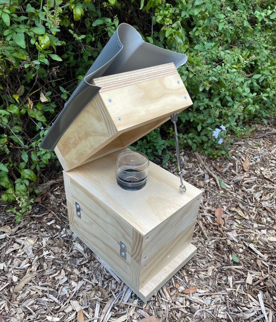Honey Jar Hoop Pine Native Beehive OATH Box Stingless Australian Bee