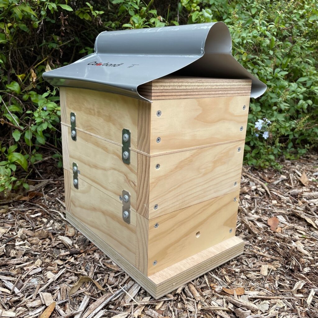 Hoop Pine Honey Jar Perspex Beehive OATH Box Native Bee Hive