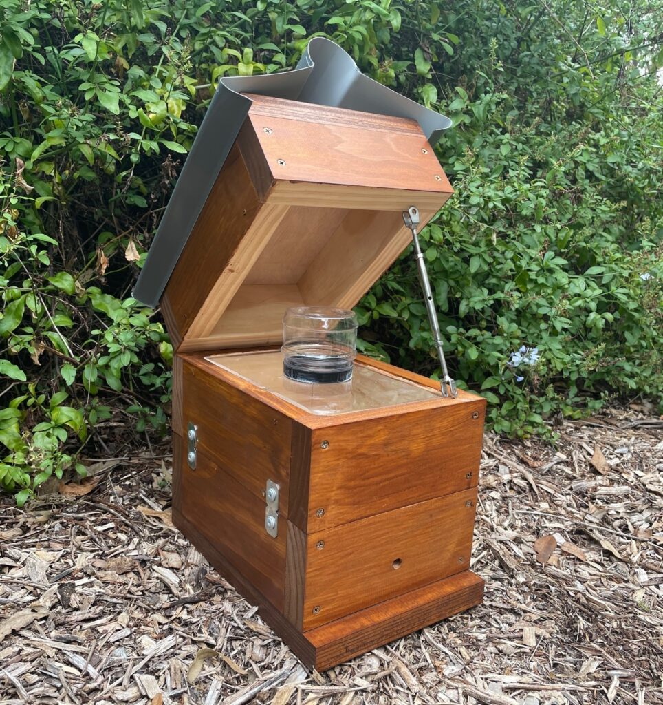 Stained Hoop Pine Honey Perspex Beehive OATH Box Native Bee Hive