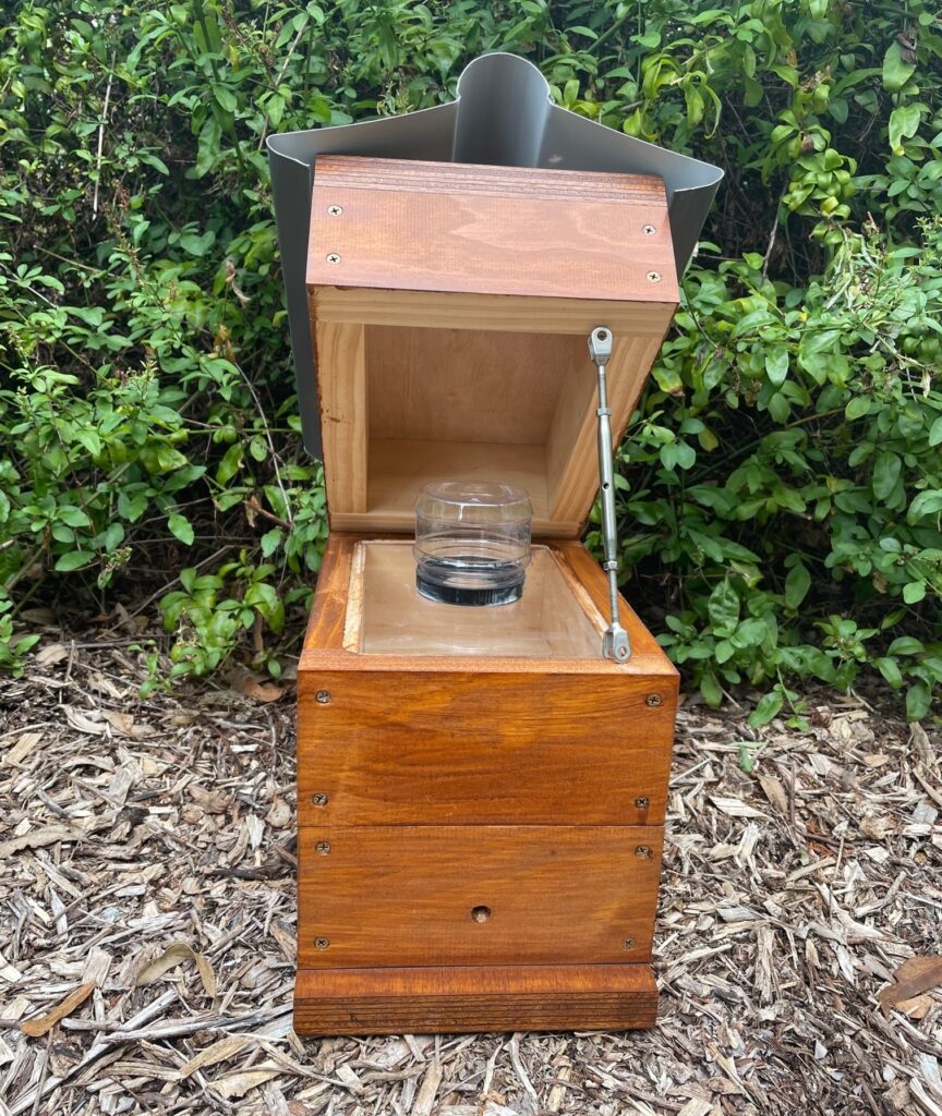 Stained Hoop Pine Honey Perspex Beehive OATH Box Native Bee Hive