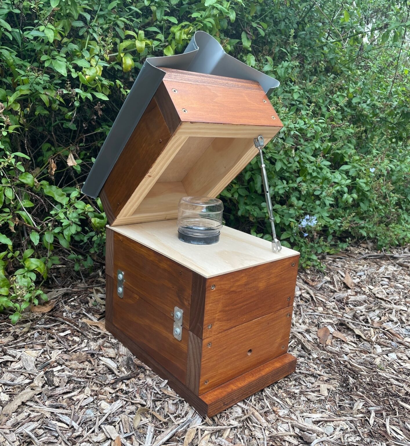 Honey Jar Stained Hoop Pine Native Beehive OATH Box Stingless