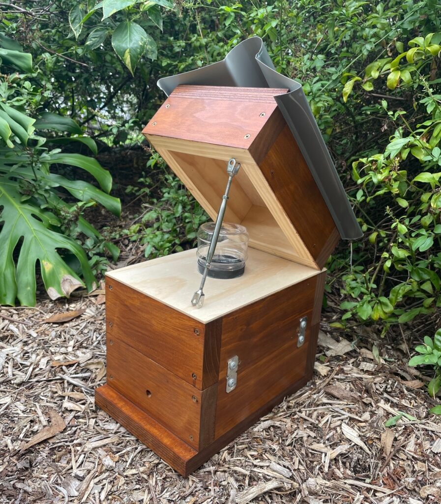 Honey Jar Stained Hoop Pine Native Beehive OATH Box Stingless