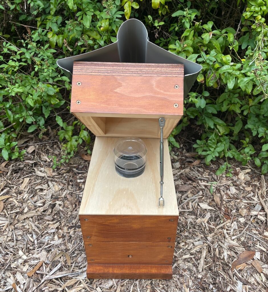Honey Jar Stained Hoop Pine Native Beehive OATH Box Stingless