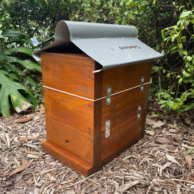 Honey Super – Stained Hoop Pine OATH Box Stingless Australian Beehive