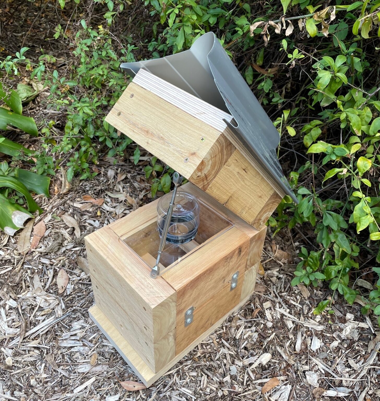 50mm Cypress Pine Rough Sawn Stingless Australian Native Bee Hive
