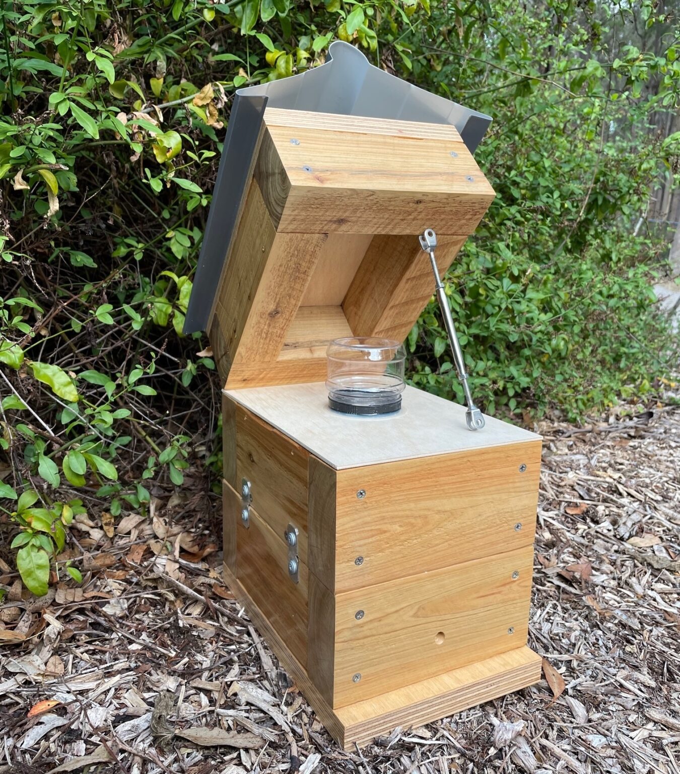 50mm Cypress Pine Varnish Rough Sawn Stingless Native Bee Hive