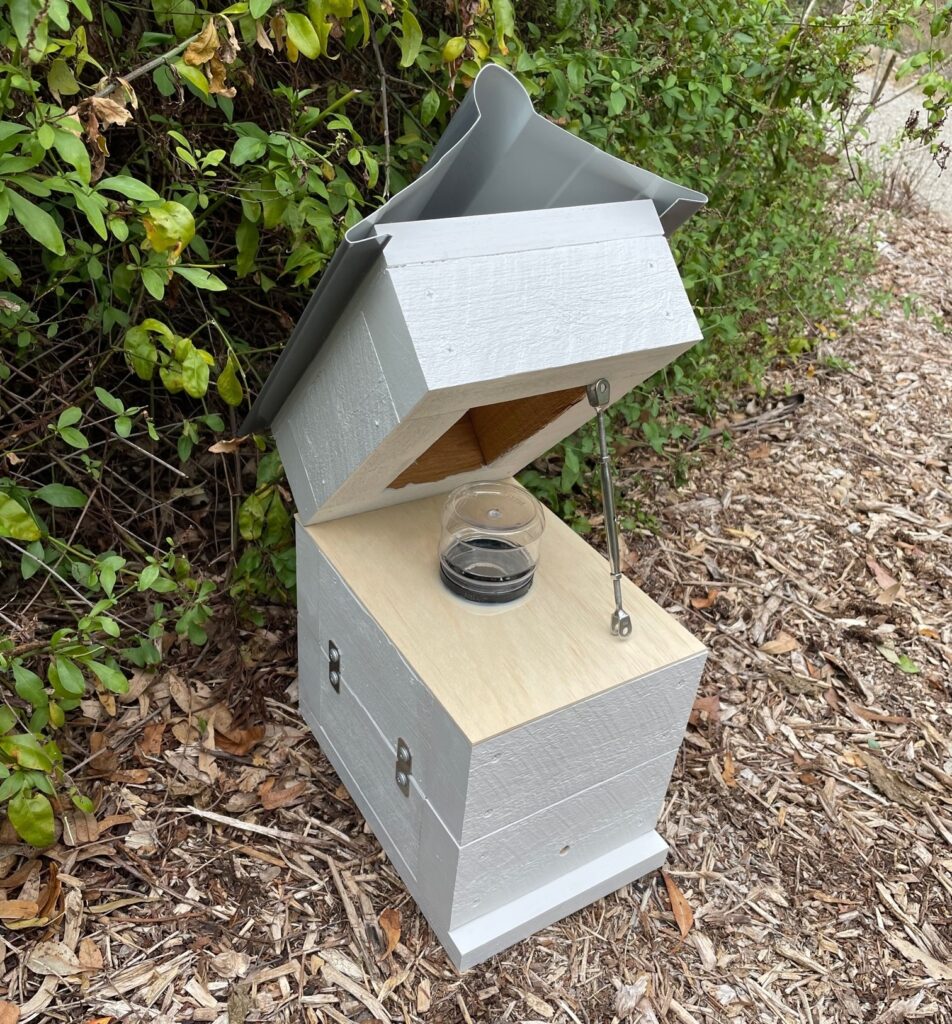 50mm Cypress Pine Painted Rough Sawn Stingless Native Bee Hive