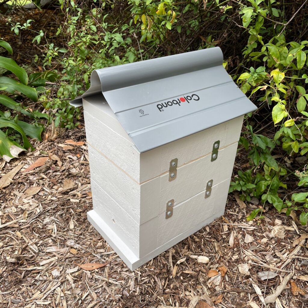 50mm Painted Cypress Pine Rough Sawn Stingless Native Bee Hive