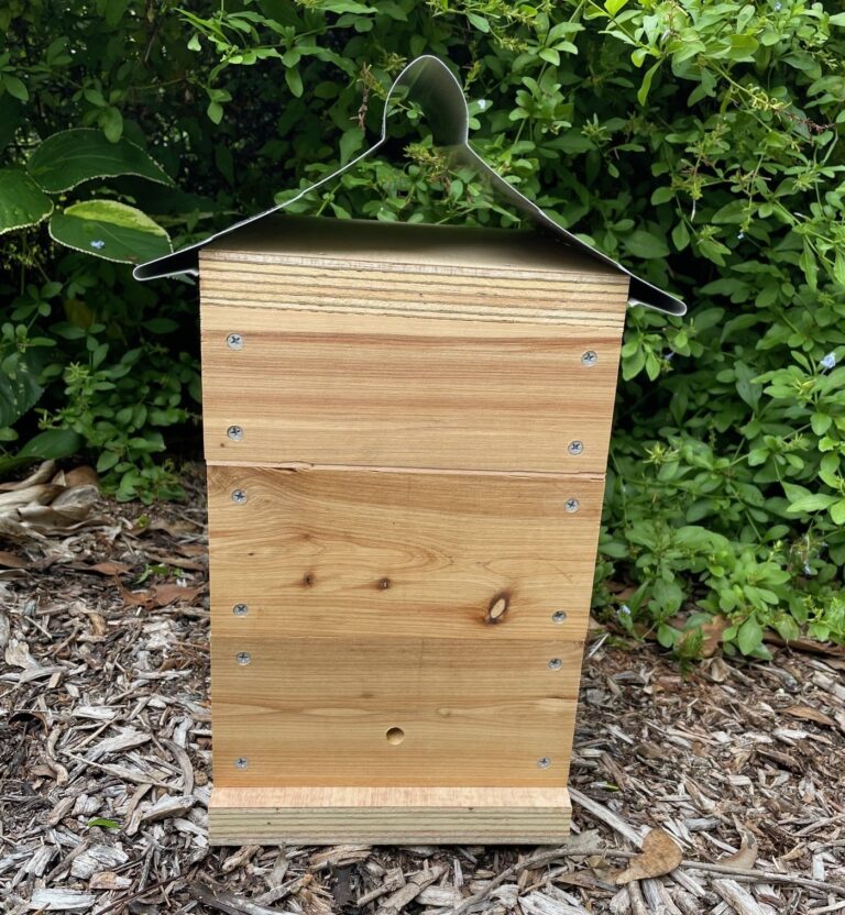 35mm Cypress Pine Dressed Stingless Australian Native Bee Hive