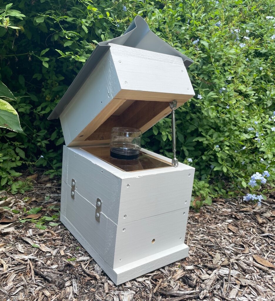 35mm Painted Cypress Pine Dressed Viewing Native Bee Hive