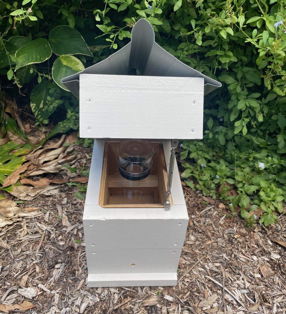 35mm Painted Cypress Pine Dressed Viewing Native Bee Hive
