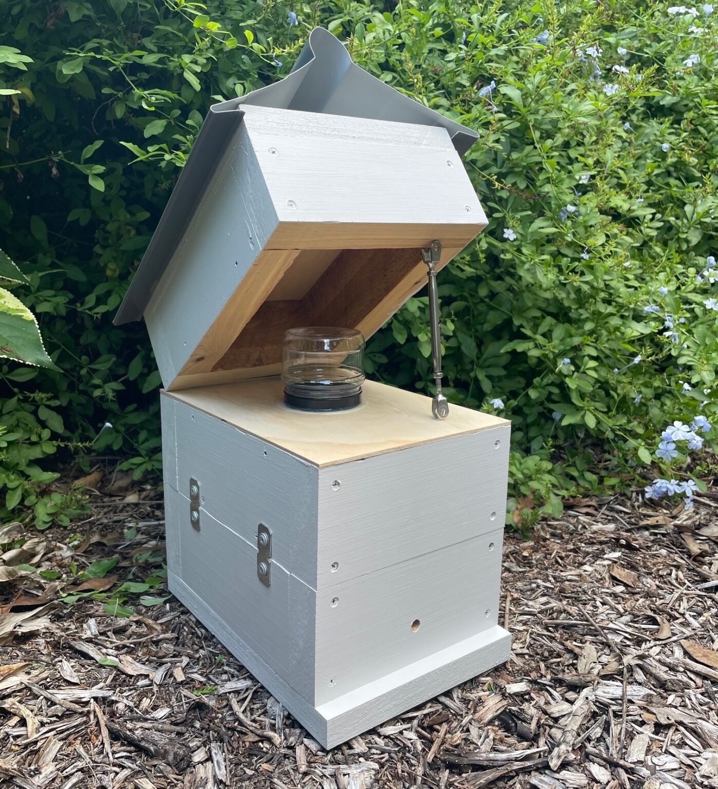 35mm Cypress Pine Painted Dressed Stingless Native Bee Hive