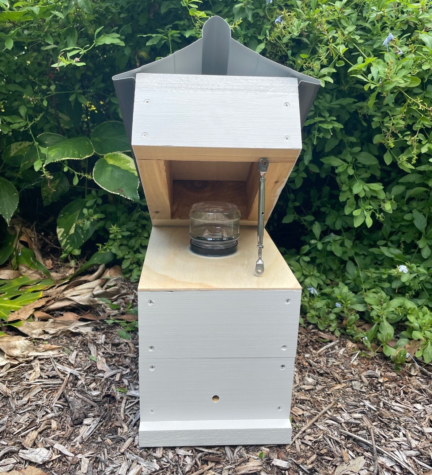 35mm Cypress Pine Painted Dressed Stingless Native Bee Hive