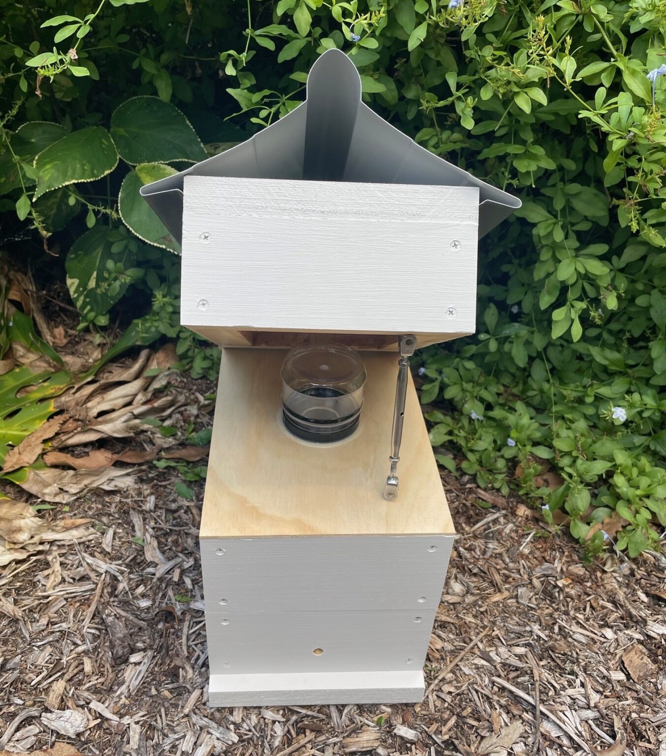 35mm Cypress Pine Painted Dressed Stingless Native Bee Hive
