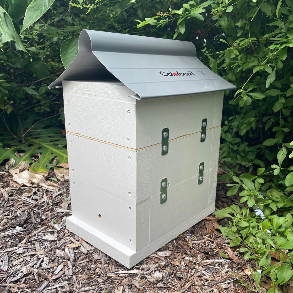 35mm Painted Cypress Pine Dressed Stingless Native Bee Hive