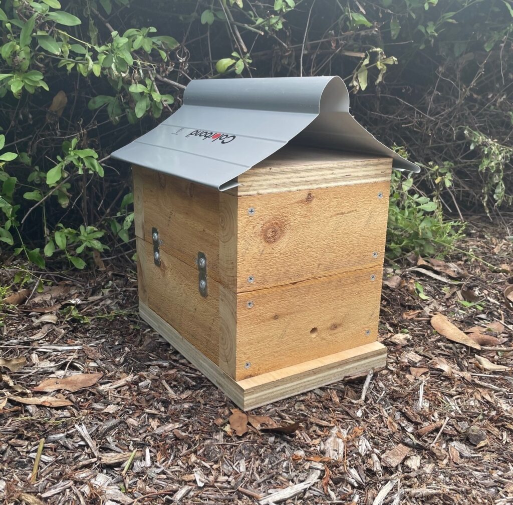 35mm Cypress Pine Dressed Stingless Australian Native Bee Hive