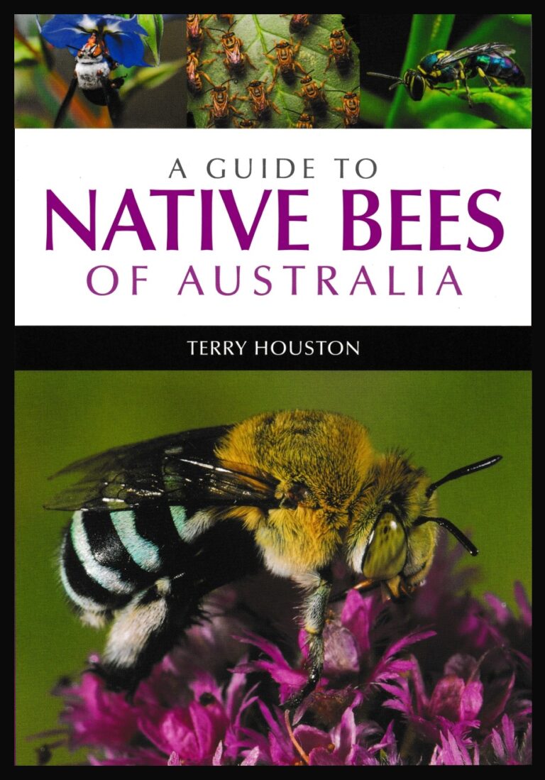 A Guide to Native Bees of Australia by Terry Houston - Beloved Bees ...
